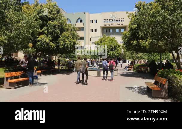 Students at the Islamic University of Gaza in Gaza City, West Bank, the ...