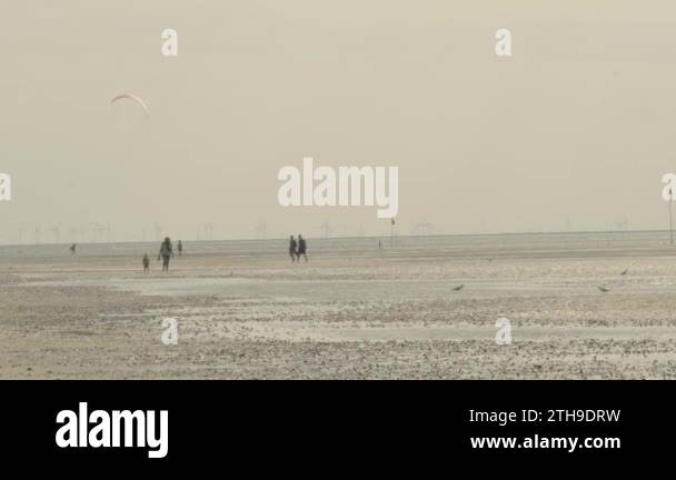 Wadden Sea.People and Seagulls on the Watt Sea. walking on watt dunes ...