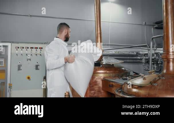 workshop of modern brewery, technologist is pouring malt into copper ...