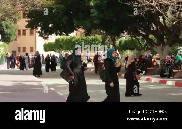 Female students at the Islamic University of Gaza in Gaza City, West ...