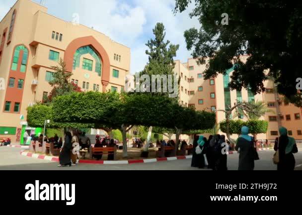 Female students at the Islamic University of Gaza in Gaza City, West ...