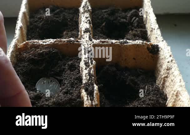 Coin test Stock Videos & Footage - HD and 4K Video Clips - Alamy
