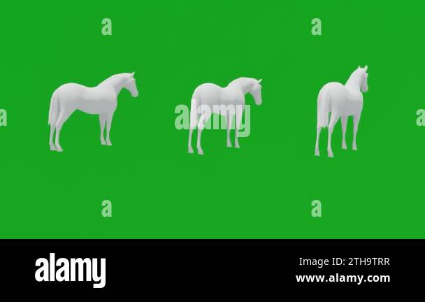 3D animation three white horses green screen background moving and ...