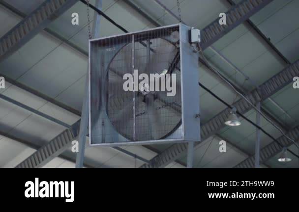 Large industrial fan controlling temperature in modern cowshed close up ...