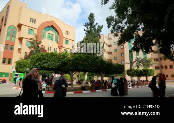 Female students at the Islamic University of Gaza in Gaza City, West ...