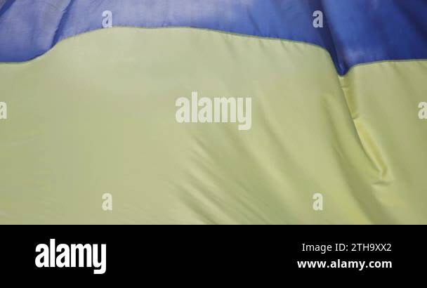 National flag of Ukraine, known as Ukrainian flag is curled flag made ...