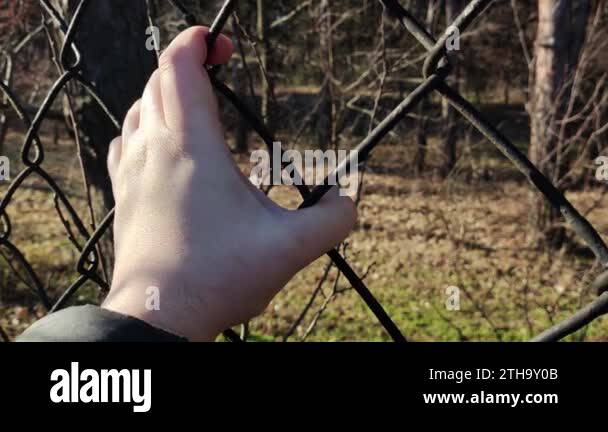 iron grate. steel mesh. the hand is holding the grate. a man's hand ...
