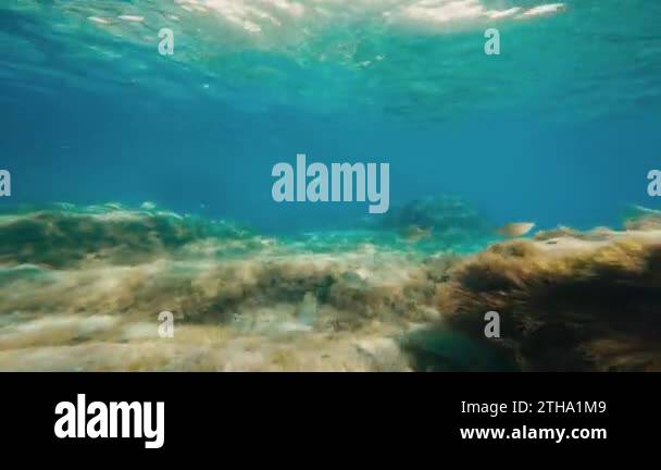 Underwater cliff Stock Videos & Footage - HD and 4K Video Clips - Alamy