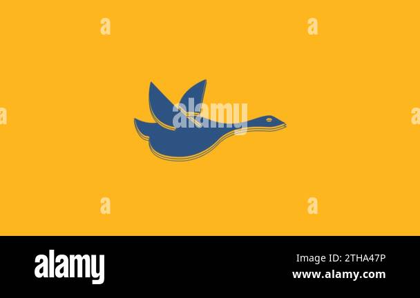 Flying goose isolated Stock Videos & Footage - HD and 4K Video Clips ...