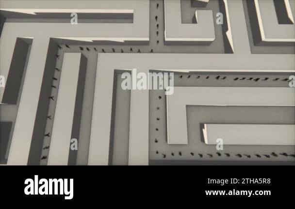 Through the maze Stock Videos & Footage - HD and 4K Video Clips - Alamy