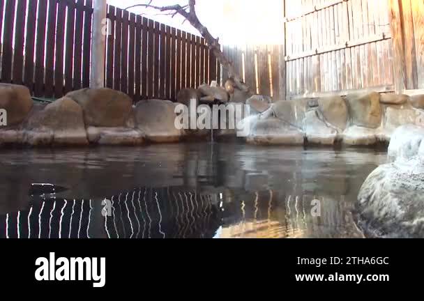 footage of Traditional Japanese onsen interior Stock Video Footage - Alamy