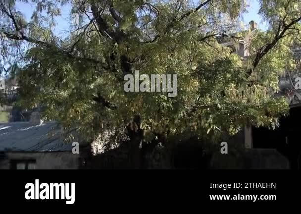 Traditional welsh village Stock Videos & Footage - HD and 4K Video ...