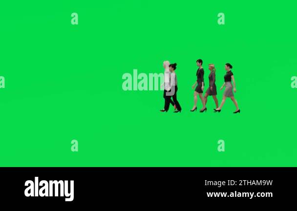 3D group female employees green screen background walking and going ...