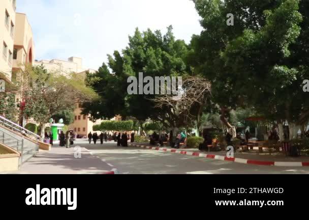 Female students at the Islamic University of Gaza in Gaza City, West ...