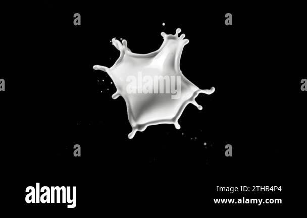 Realistic super slow motion of flying milk splash on black background ...
