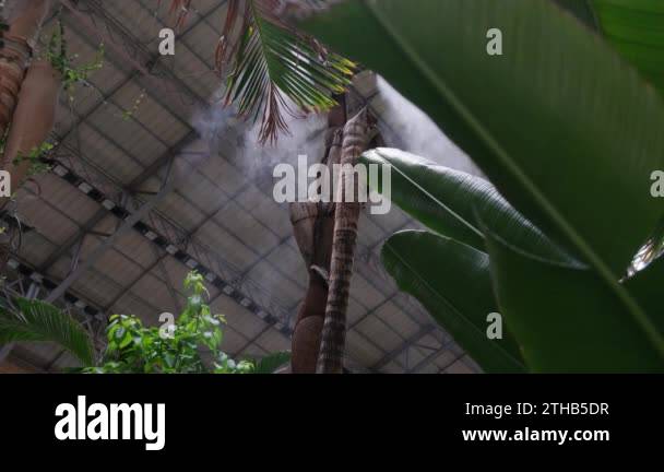 Irrigation system close up. Air humidification with steam in a batanic ...