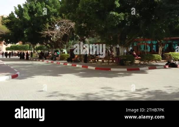 Female students at the Islamic University of Gaza in Gaza City, West ...