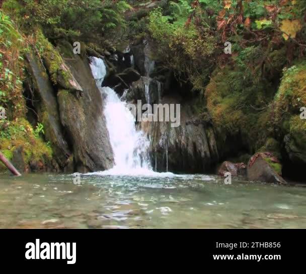 Short waterfall Stock Videos & Footage - HD and 4K Video Clips - Alamy