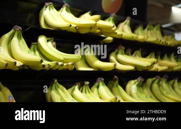 Ripe yellow bananas on the rack of an agricultural store. Collection ...