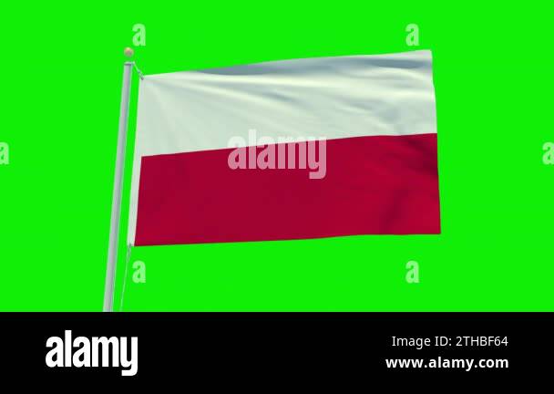 Seamless loop animation of the Poland flag on a green screen background ...