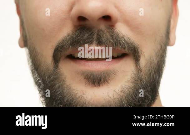 Face of laughing adult dark-haired man with grey hairs in beard and ...
