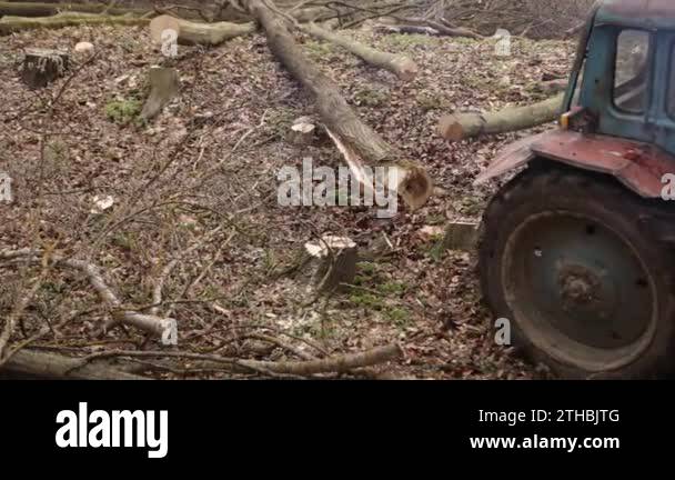 Logging tractor on forest road. Pulling tree trunk with truck. Tractor ...