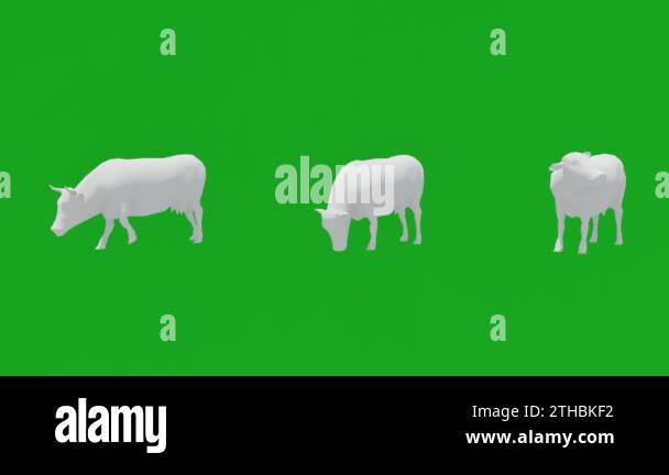 3D animation three white milk cows green screen background moving and ...