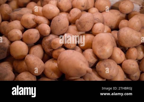 Potato sizes Stock Videos & Footage - HD and 4K Video Clips - Alamy