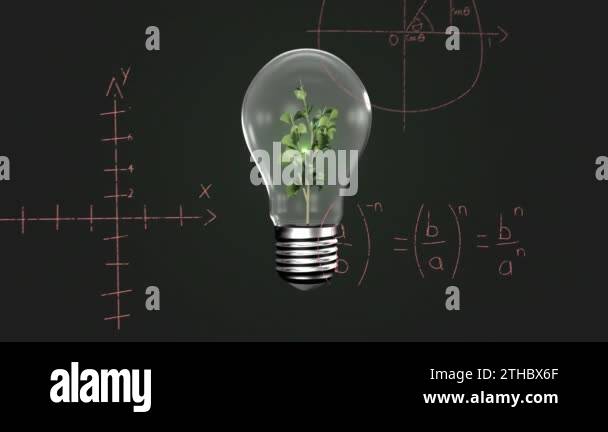 Animation of plant in bulb over mathematical equations and diagrams against green background ...