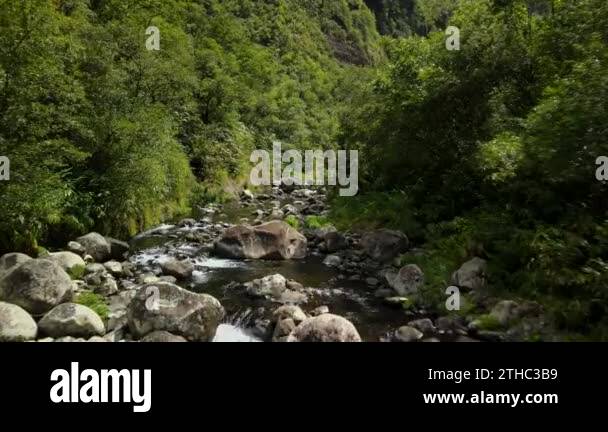 Travelling along a river at the bottom of a ravine in the Reunion ...