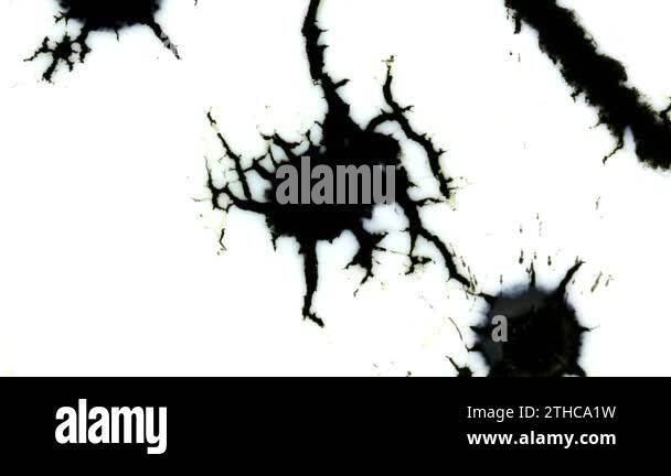 Splotches Stock Videos & Footage - HD and 4K Video Clips - Alamy