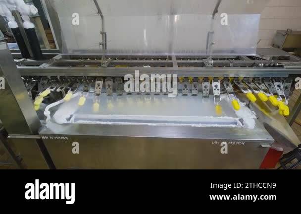Freezing ice cream on the conveyor. Ice cream production process ...