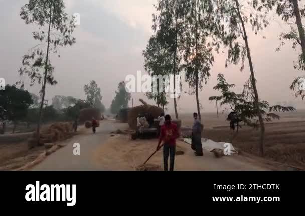 Asian village life Stock Videos & Footage - HD and 4K Video Clips - Alamy