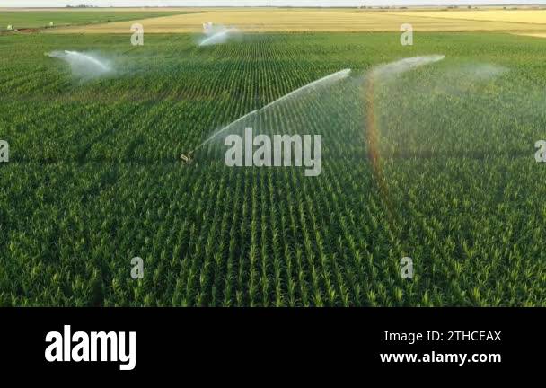 Aerial view of irrigation system, water jet rain guns sprinklers, on ...