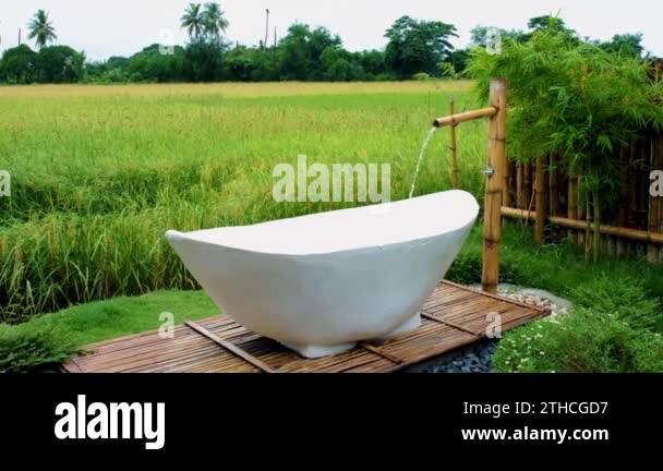 How to grow rice in home Stock Videos & Footage - HD and 4K Video Clips ...