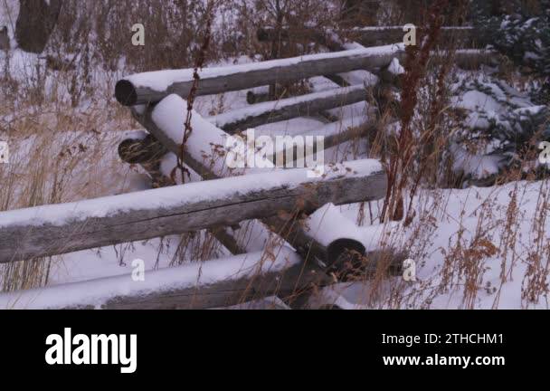 Log pole fence Stock Videos & Footage - HD and 4K Video Clips - Alamy