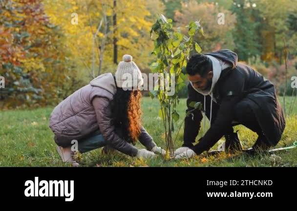 Tree planting program Stock Videos & Footage - HD and 4K Video Clips ...