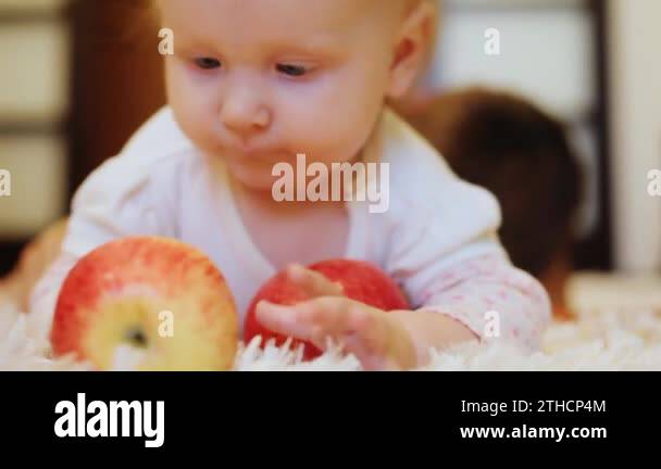 Little girl bite apple Stock Videos & Footage - HD and 4K Video Clips ...