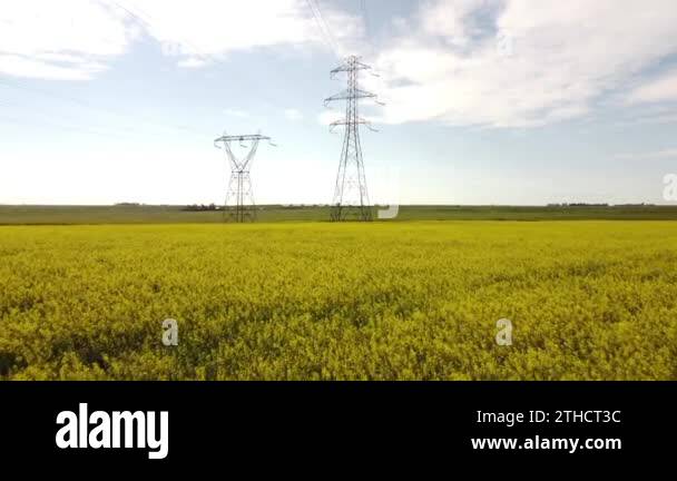 Field grid tracking Stock Videos & Footage - HD and 4K Video Clips - Alamy
