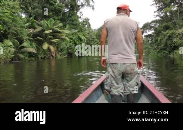 Reserve ranger Stock Videos & Footage - HD and 4K Video Clips - Alamy