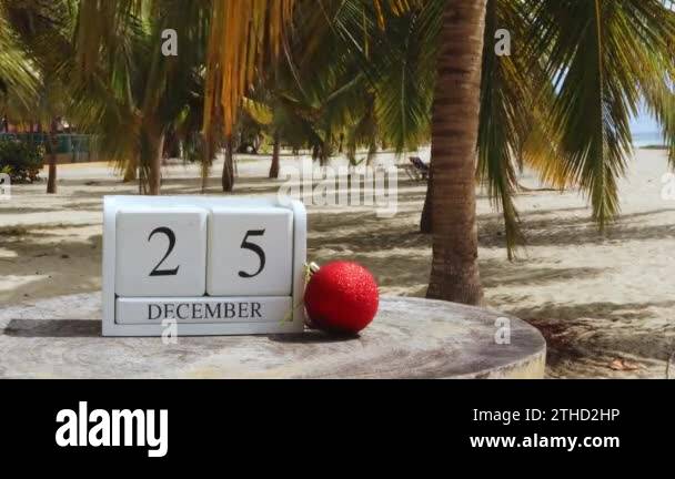 Beach sea palm ball Stock Videos & Footage - HD and 4K Video Clips - Alamy