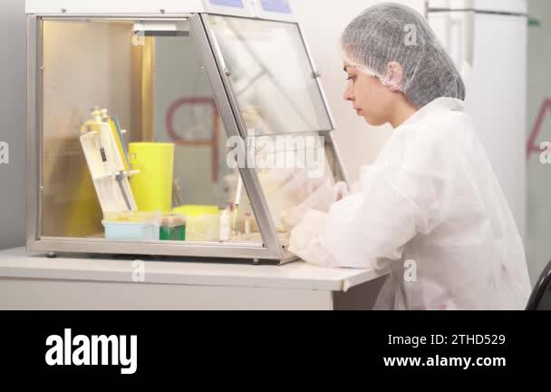 A side view of medical laboratory scientists performing microbiology ...