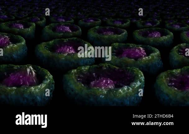 Weird Aliens In Pods Goofy Scifi Scene Stock Video Footage - Alamy