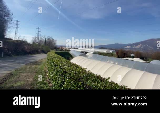 Industrial plantations Stock Videos & Footage - HD and 4K Video Clips - Alamy
