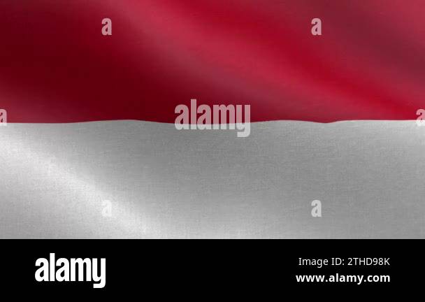 National Flag of Indonesia, Seamless loop Indonesia flag animation. A beautiful view of ...