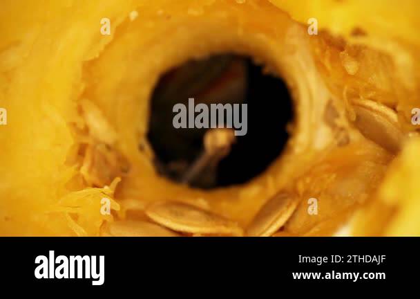 Pulling back through interior of cored out gourd, where there are ...