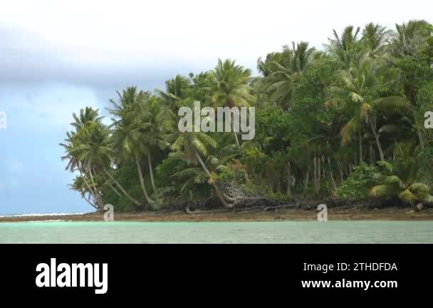 Ww2 pacific island Stock Videos & Footage - HD and 4K Video Clips - Alamy