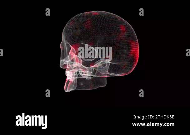 Spread of virus 3D skull rotation on black background. Visual ...