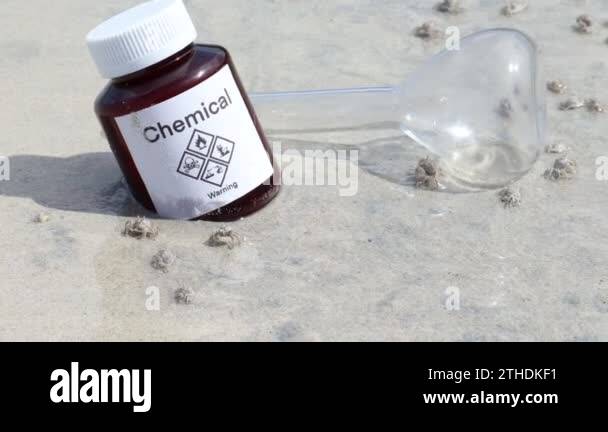 Chemical bottles from the lab were discarded on the beach and destroy ...