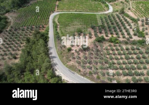 Grape and olive Stock Videos & Footage - HD and 4K Video Clips - Alamy